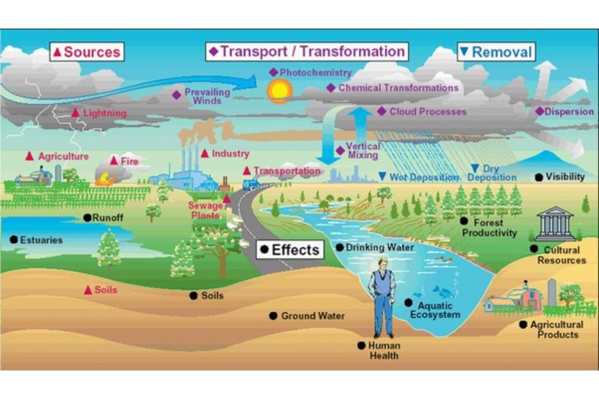 A healthy environment – The bedrock of our well being - GhScientific