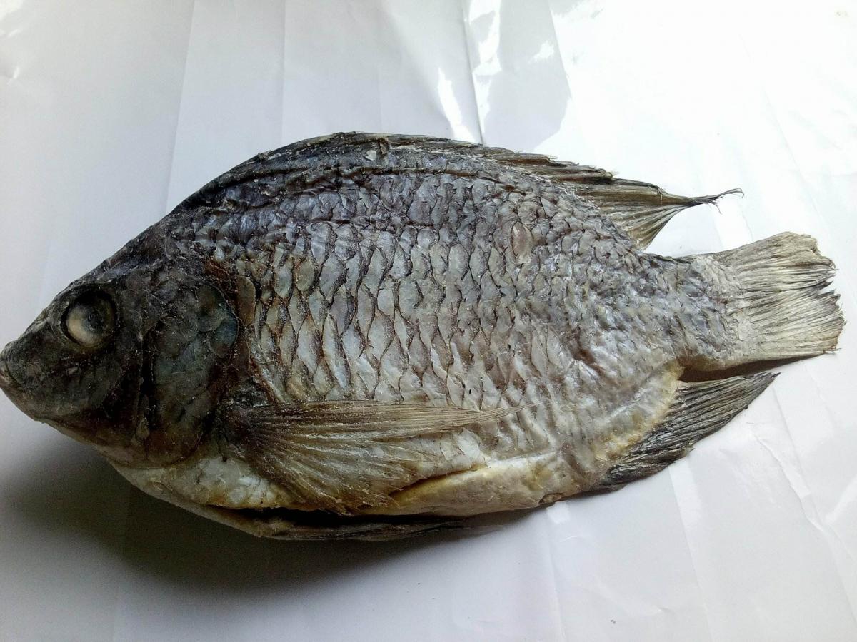 Fish Consumption - The Association Between Tilapia and Koobi - GhScientific