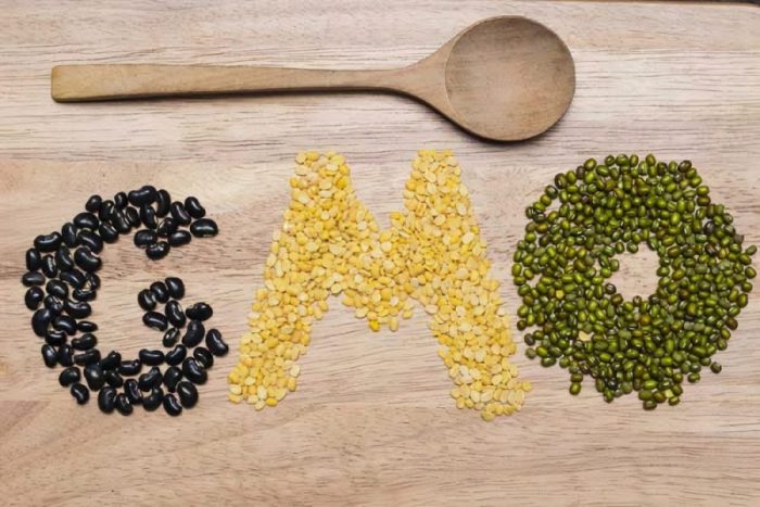 The Case for GMOs in Ghana - GhScientific