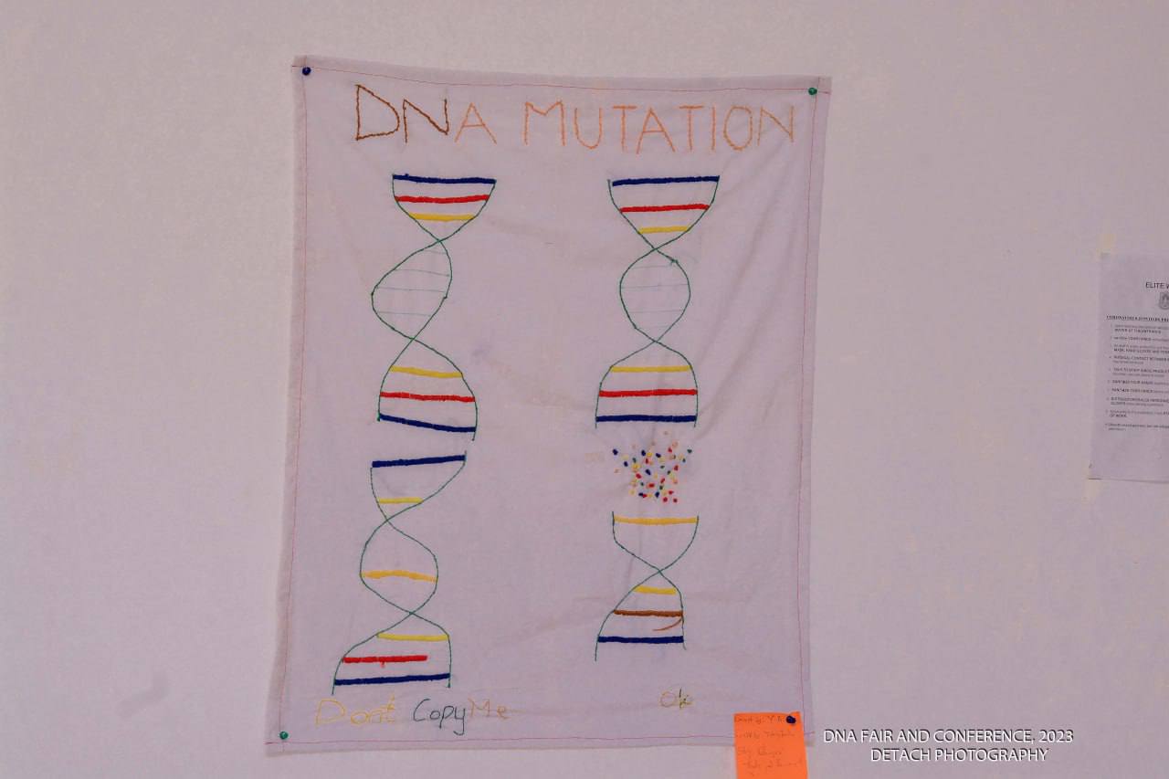 Breaking Boundaries: First Ever DNA Fair and Conference in Ghana- Where ...